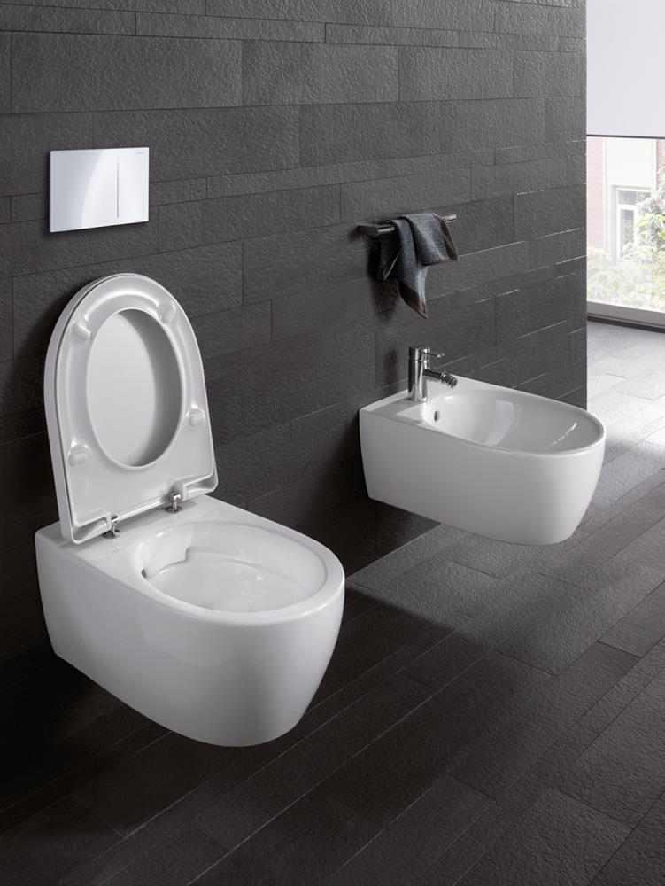 Geberit Rimfree®: la revolución en inodoros | Construnario.com